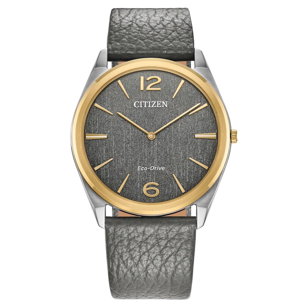 Citizen Two-Tone Suratto Eco Drive Watch AR3124-07H – Christopher ...